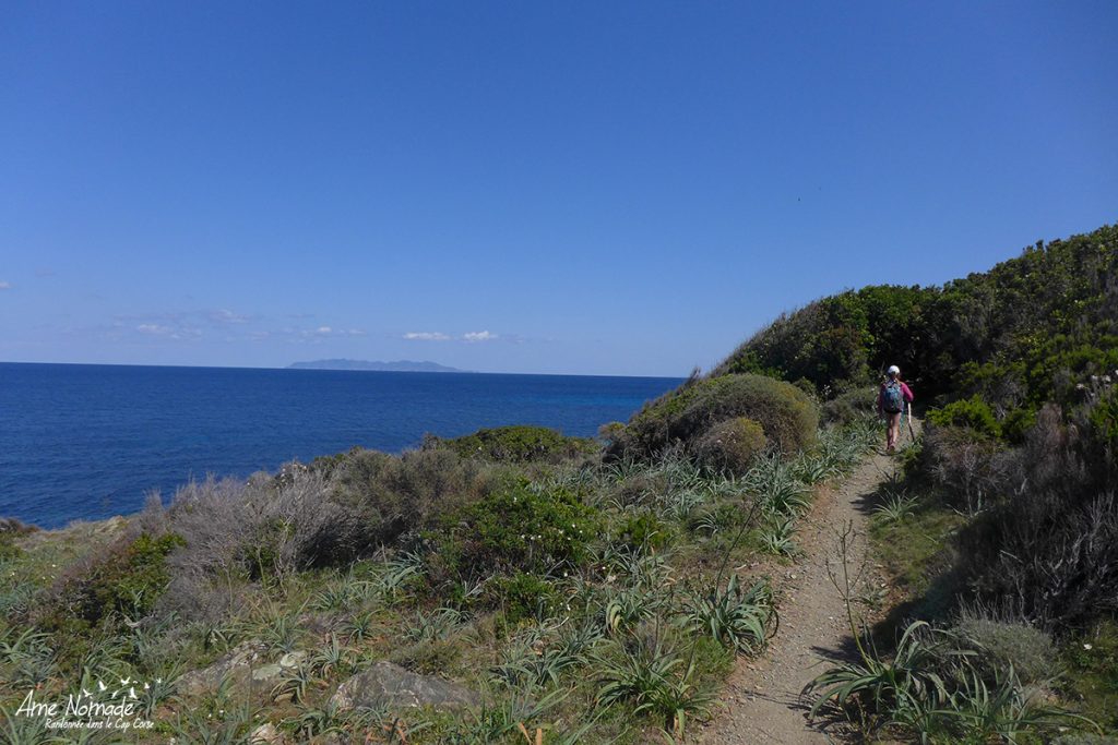 Randonnée sur le Sentier des Douaniers de la Pointe du Cap Corse | Ame ...